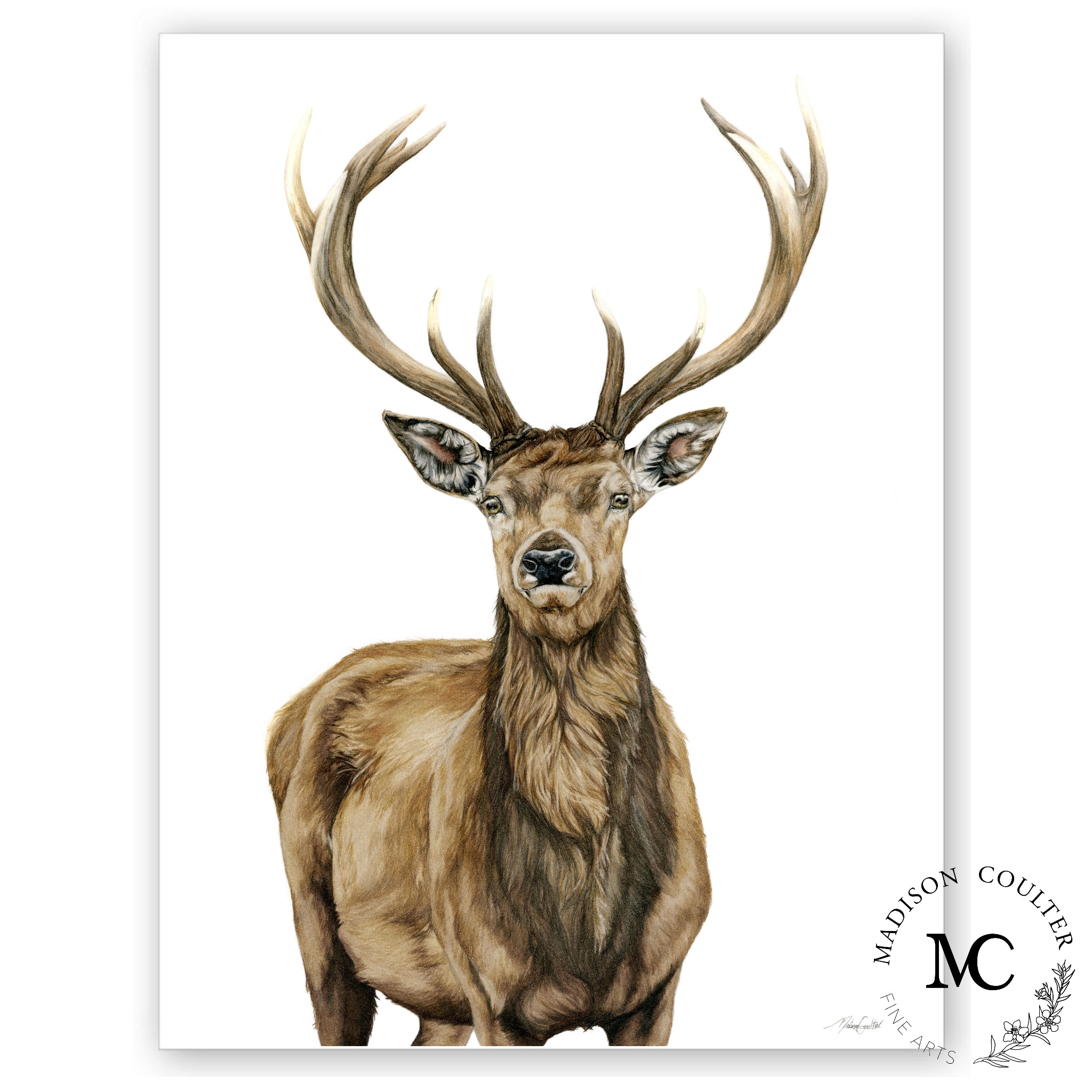 Hunter's Collection – Madison Coulter Fine Arts