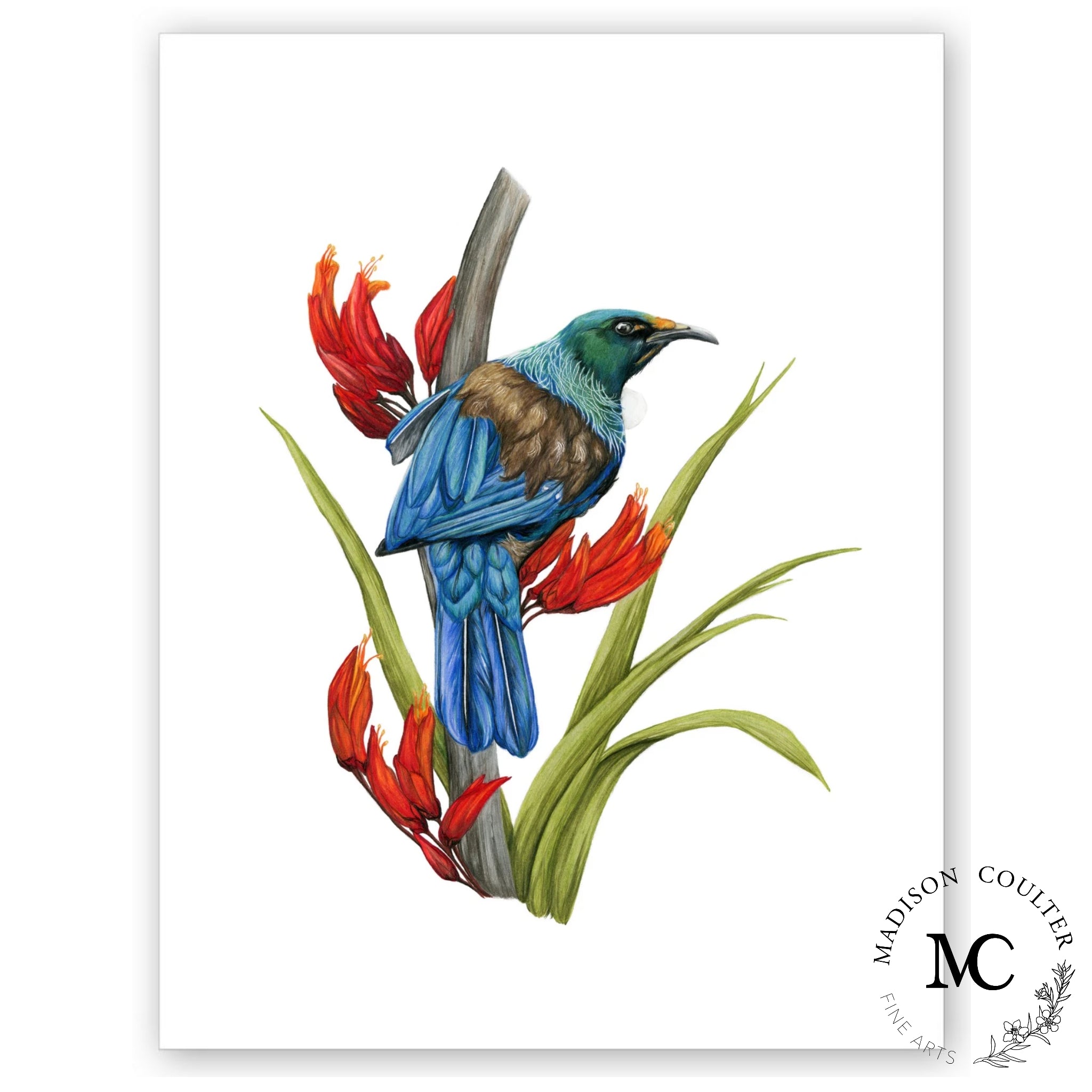 Iconic New Zealand Collection – Madison Coulter Fine Arts
