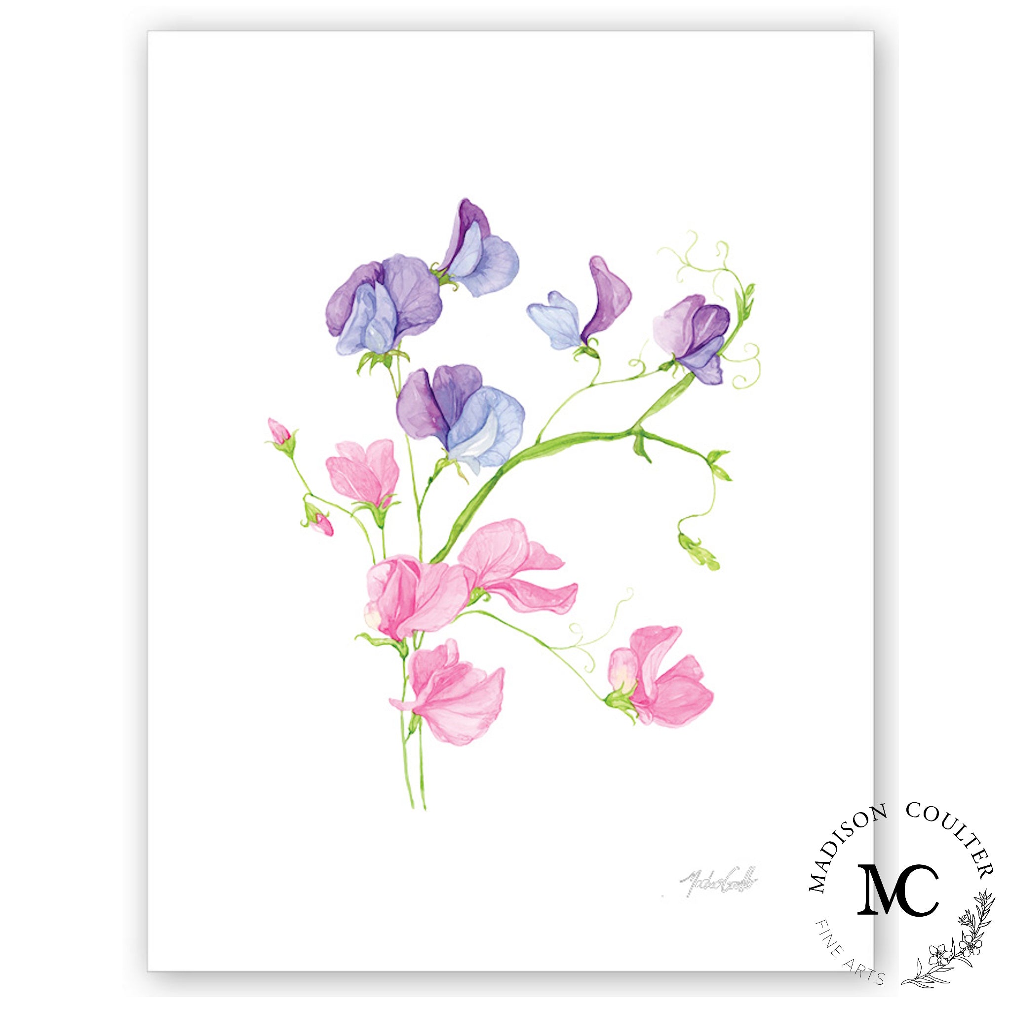 Gardener's Collection – Madison Coulter Fine Arts