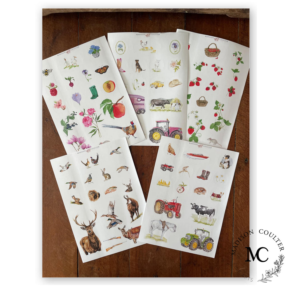 Stickers & Sticker Albums – Madison Coulter Fine Arts