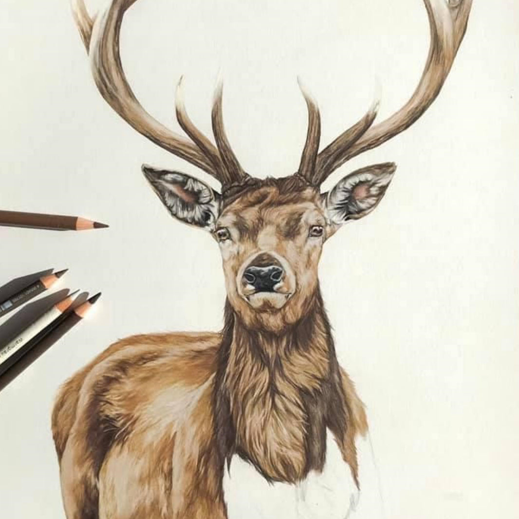 Artwork – Madison Coulter Fine Arts