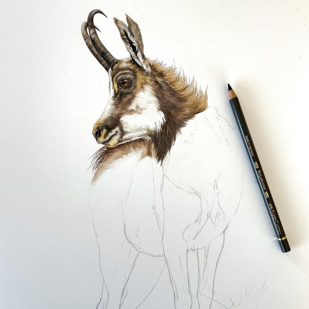 Artwork – Page 2 – Madison Coulter Fine Arts